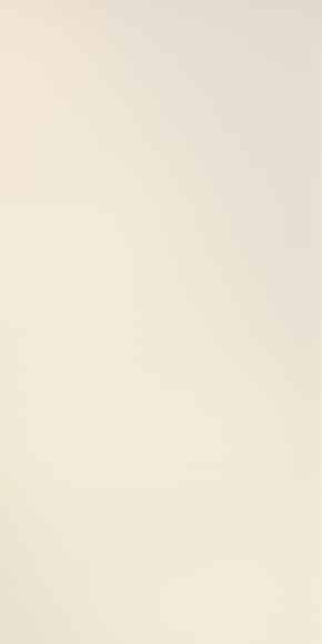 Brina Finitions de Surface - Product | Laminam France