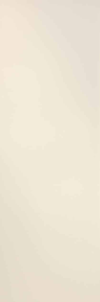 Brina finitions de surface | Laminam France