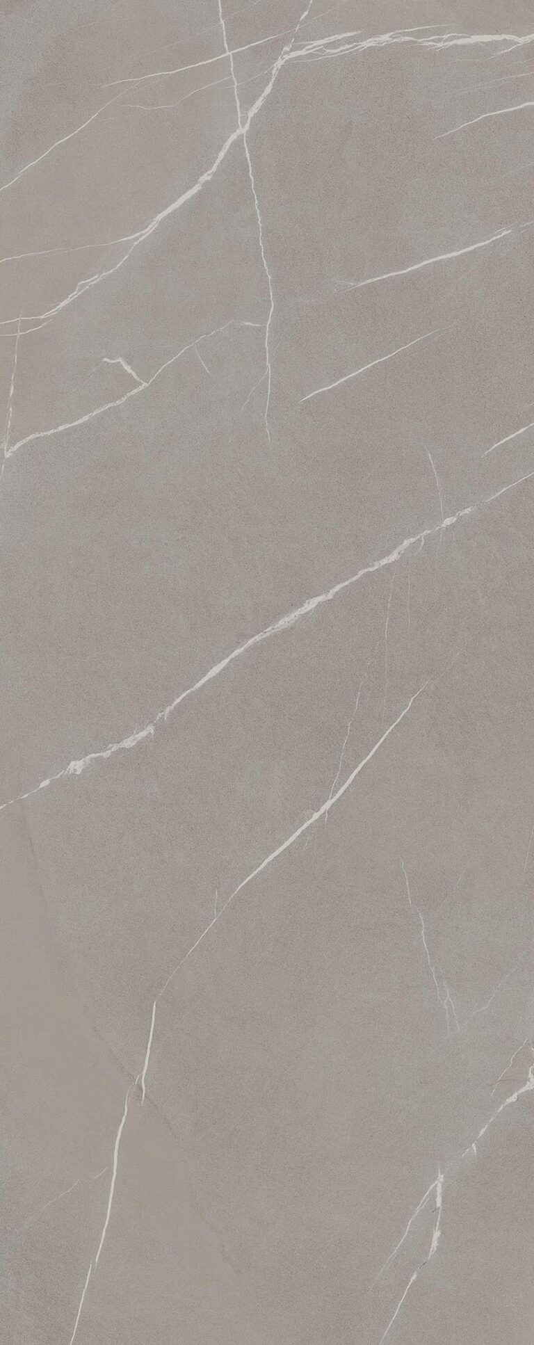 Pietra Piasentina Grigio finitions de surface | Laminam France