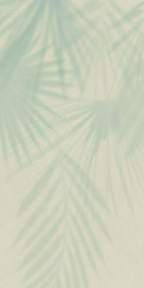 Flora Luce Finitions de Surface - Product | Laminam France