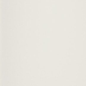 Neve Losa | Laminam USA Losas