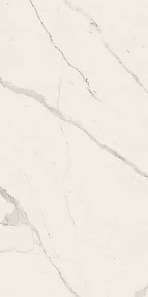 Bianco Statuario Venato Series INTL