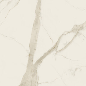 Calacatta Oro Venato Series INTL